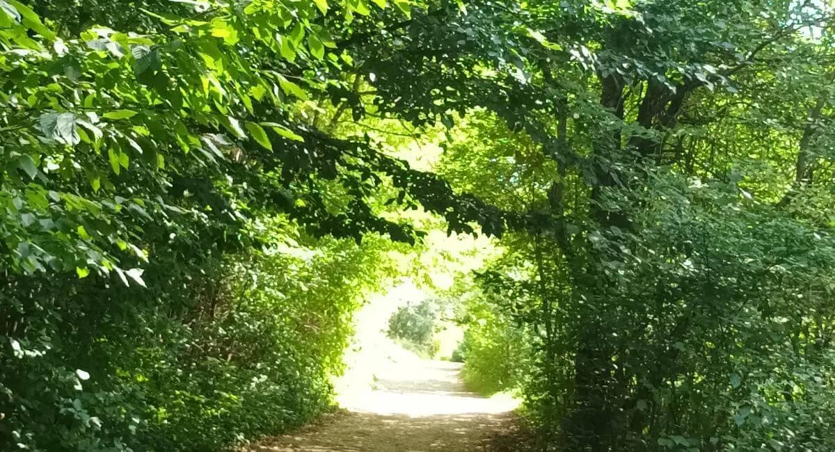 10 Steps to Send Love by Telepathy - Awaken Happy Life