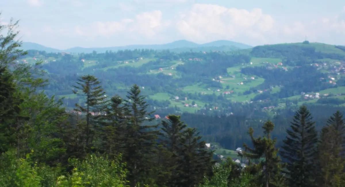 Holistic Goals: 4 Steps to Stunning Progress - Awaken Happy Life